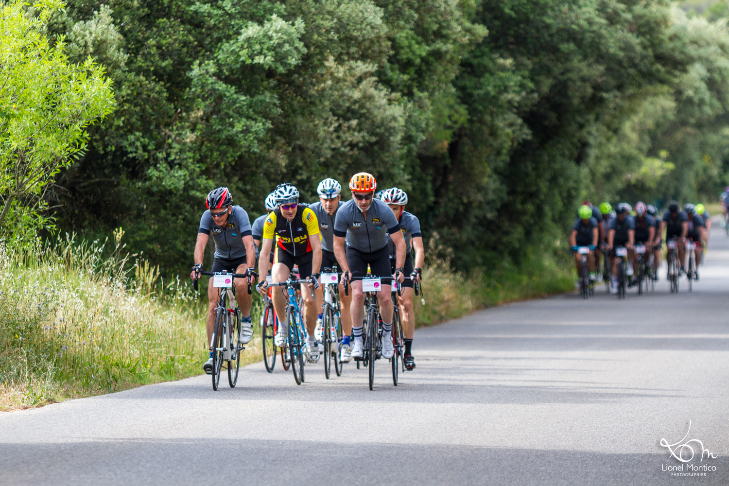 Sylvain PERREAL | Coach du réseau WTS | Annecy (Haute-Savoie)